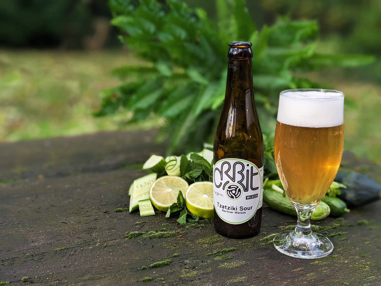 Orbit Beers – Orbit Beers Brewery